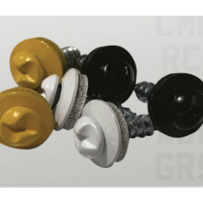 Number Plate Anti Theft Screws